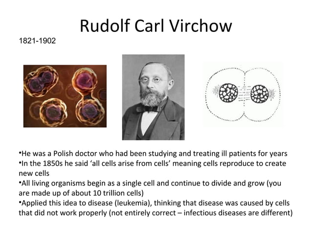Germ theory of diseases.pptx | Biological Sciences | Science