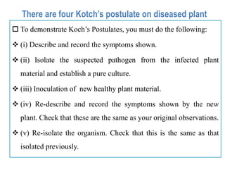 germ theory of disease koch's postulate .pptx