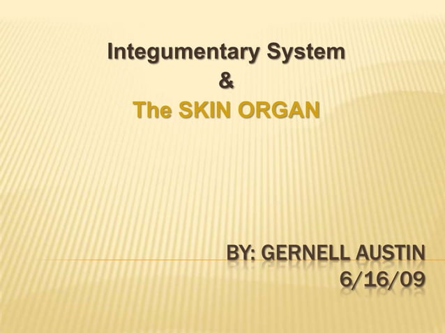 The Skin Organ System | PPT