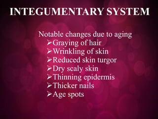 Gerontology & Geriatrics: Research | PPTX