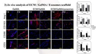 Exosome GelMA ECM scaffold | PPT