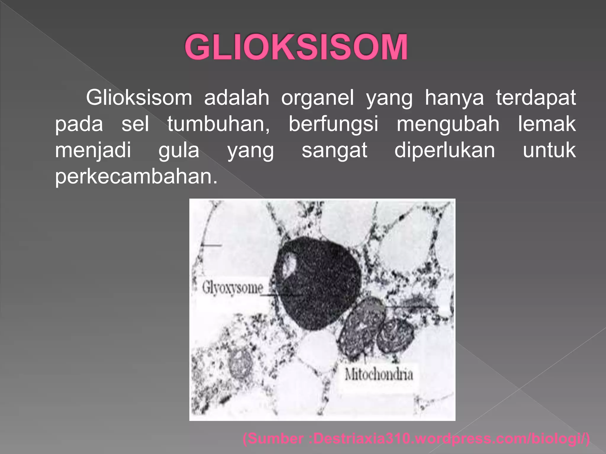 peroksisom, vakuola, glioksisom | PPTX