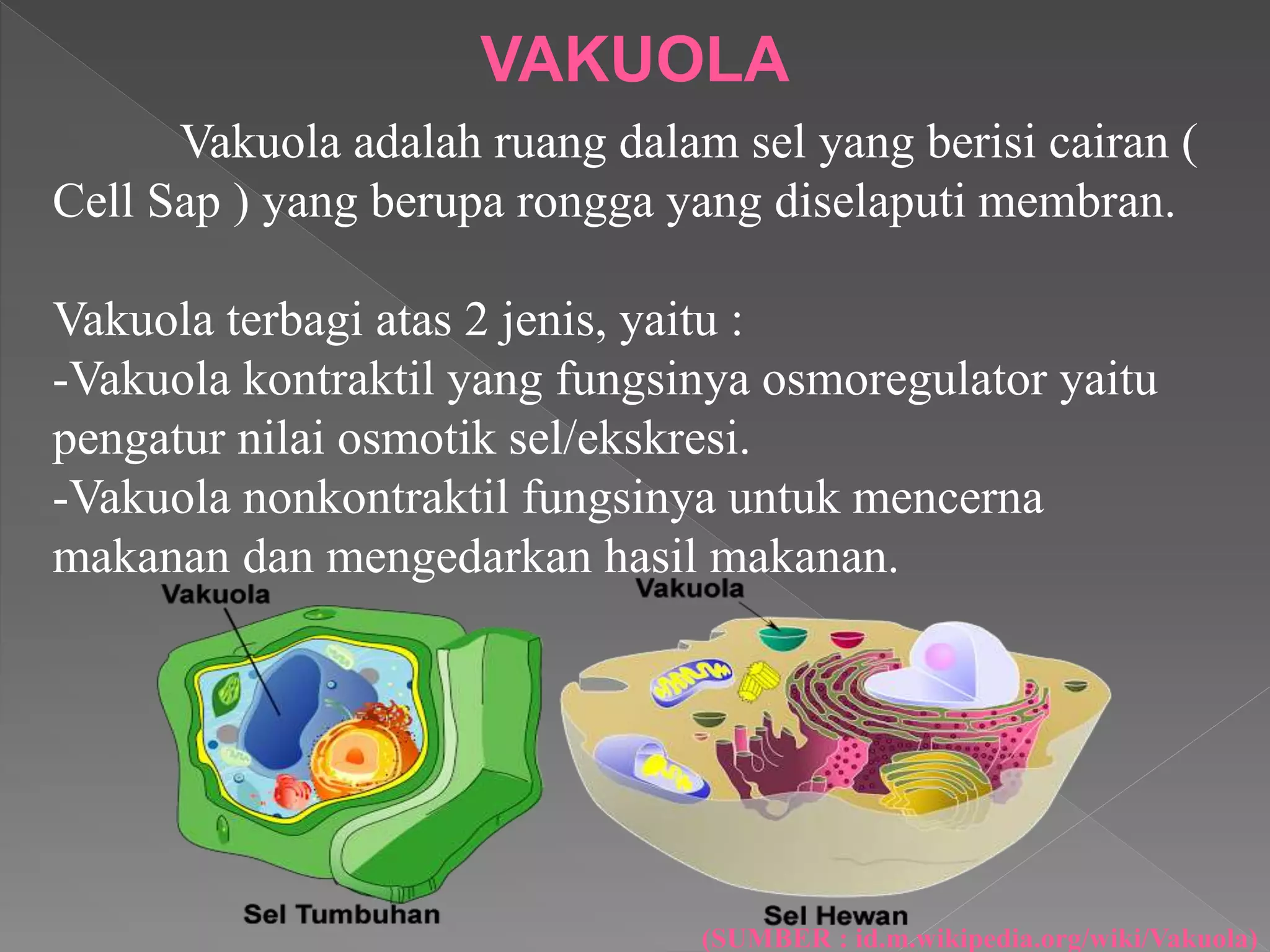 peroksisom, vakuola, glioksisom | PPTX