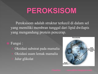 peroksisom, vakuola, glioksisom | PPTX