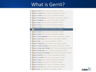 Gerrit JavaScript Plugins | ODP | Web Development | Internet