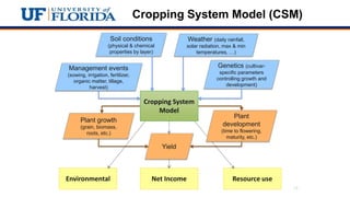Gerrit_Hoogenboom_PPT_Crop_Weather_relationship.pdf