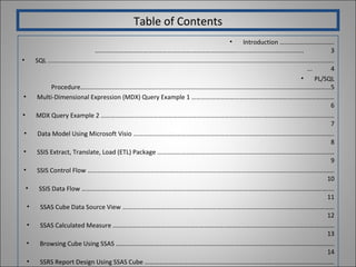 Gerry Hughes Bi Portfolio | PPT | Databases | Computer Software and Applications