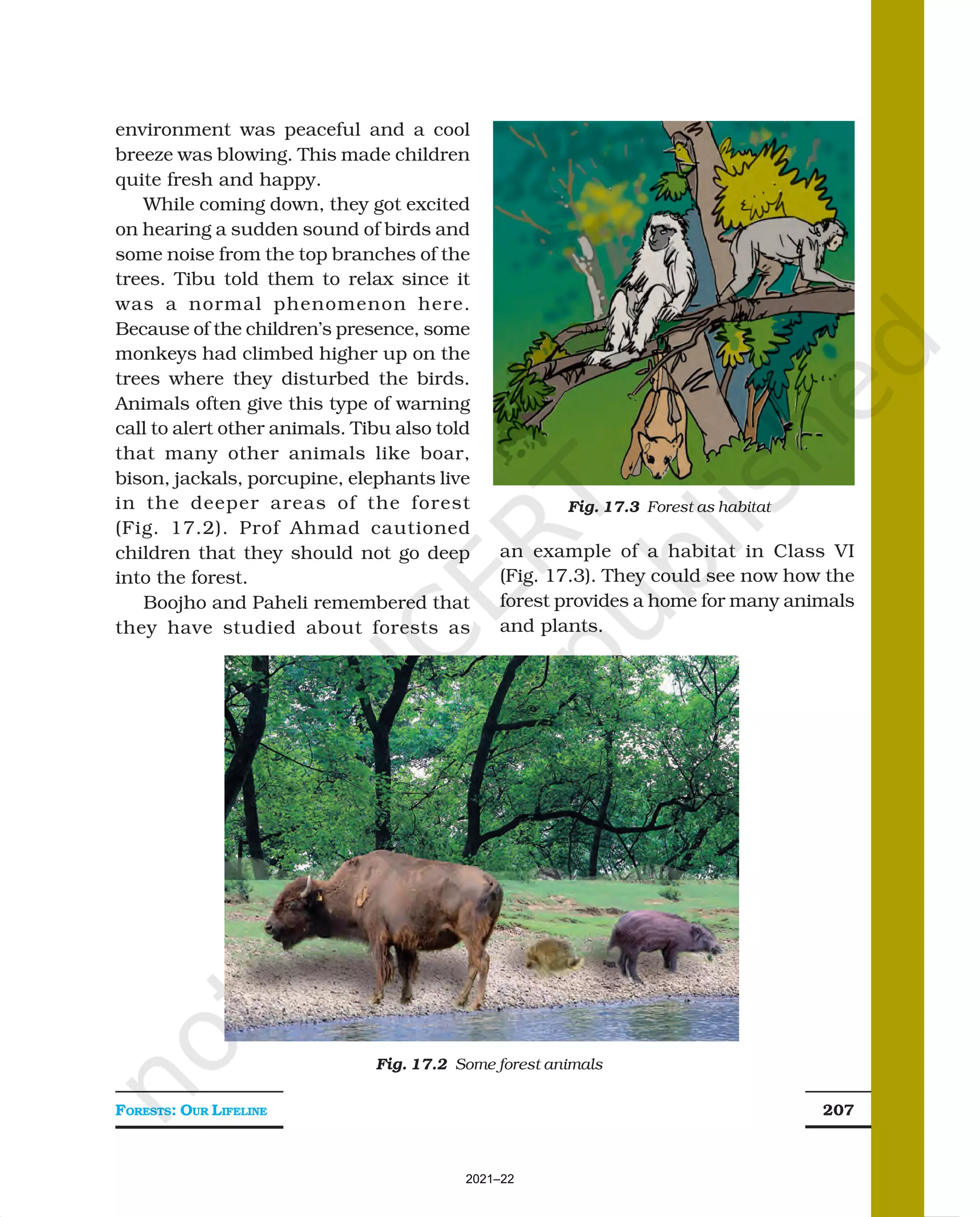 Ch-17 Forest:Our Lifeline of Class 7 Science | PDF