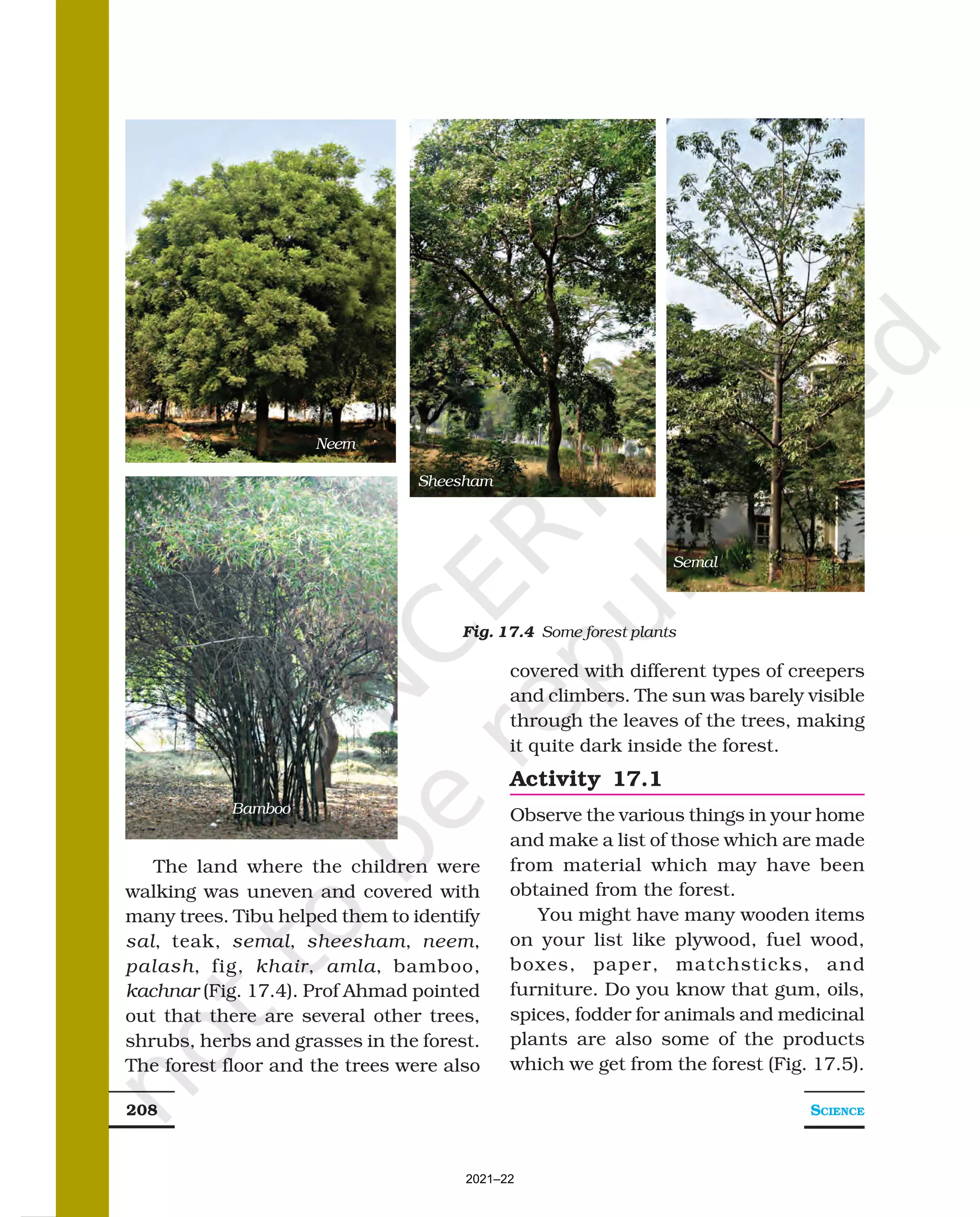 Ch-17 Forest:Our Lifeline of Class 7 Science | PDF
