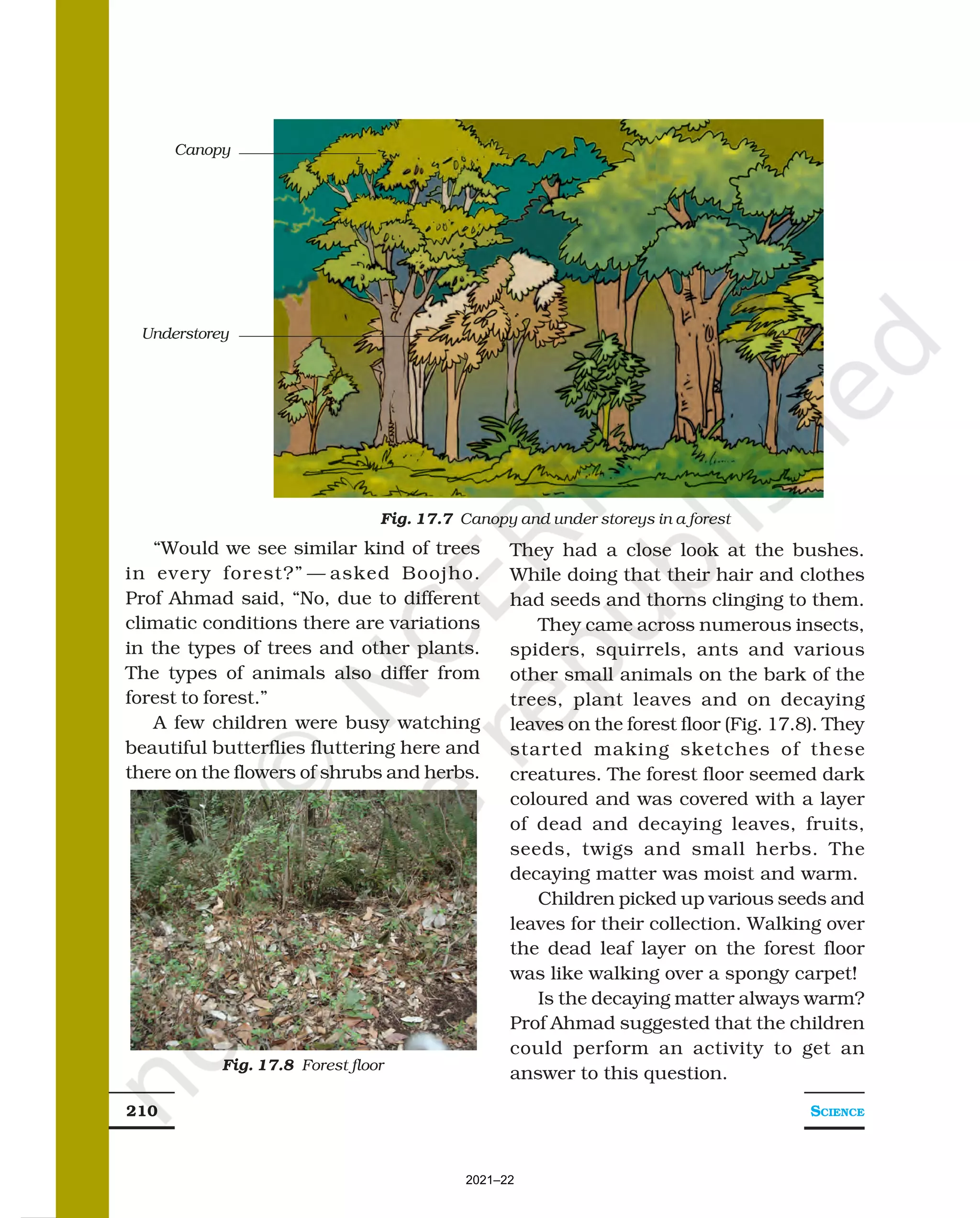 Ch-17 Forest:Our Lifeline of Class 7 Science | PDF