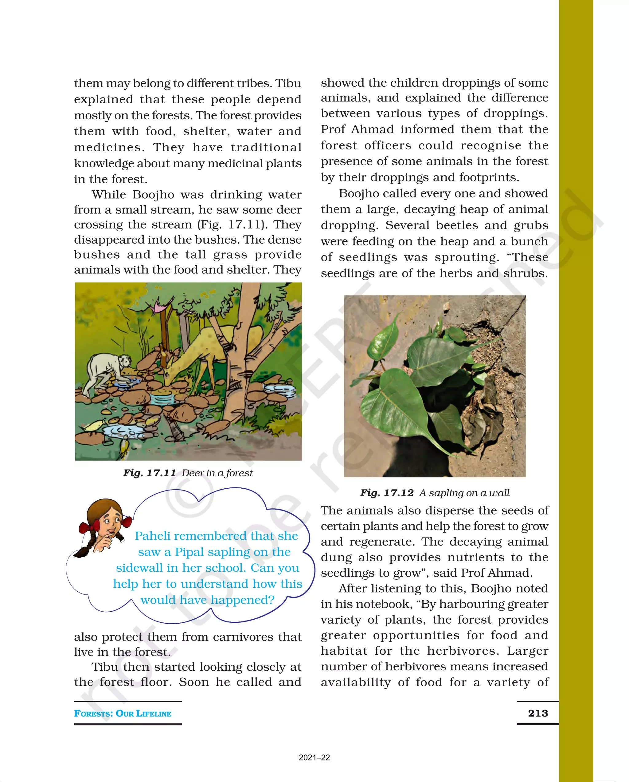 Ch-17 Forest:Our Lifeline of Class 7 Science | PDF