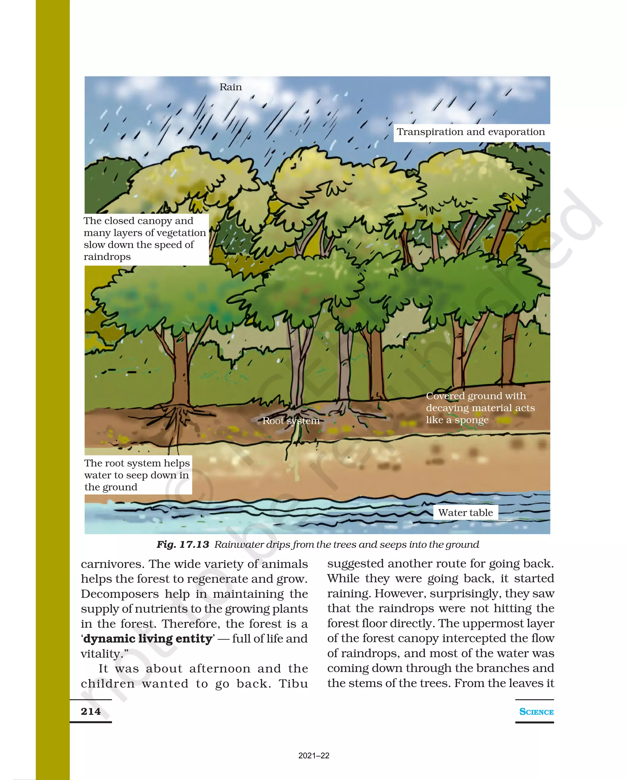 Ch-17 Forest:Our Lifeline of Class 7 Science | PDF