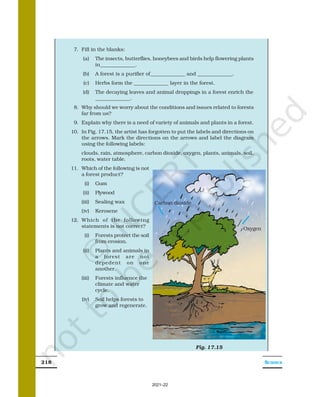 Ch-17 Forest:Our Lifeline of Class 7 Science | PDF