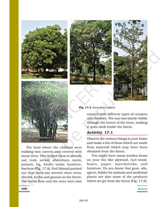 Ch-17 Forest:Our Lifeline of Class 7 Science | PDF | Gardening | Home ...