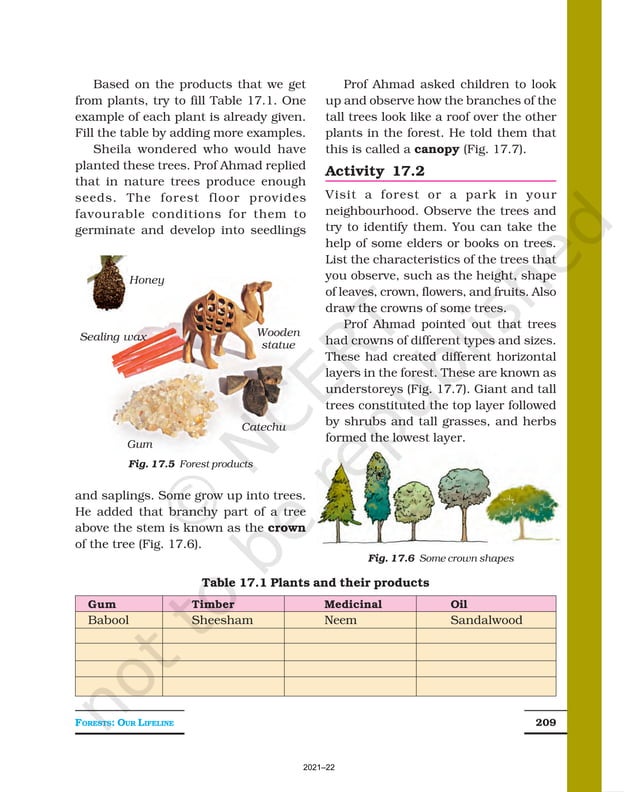 Ch-17 Forest:Our Lifeline of Class 7 Science | PDF | Gardening | Home ...