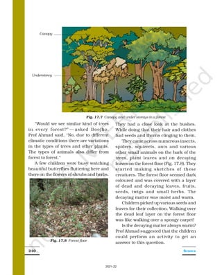 Ch-17 Forest:Our Lifeline of Class 7 Science | PDF