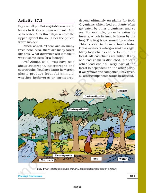 Ch-17 Forest:Our Lifeline of Class 7 Science | PDF | Gardening | Home ...