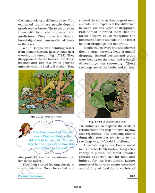 Ch-17 Forest:Our Lifeline of Class 7 Science | PDF | Gardening | Home ...