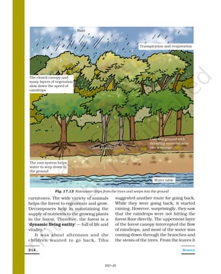 Ch-17 Forest:Our Lifeline of Class 7 Science | PDF
