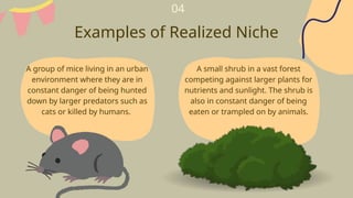 "Ecological Niches: Roles in Ecosystems" | PPTX