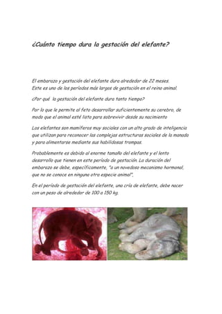Gestación del elefante | DOCX
