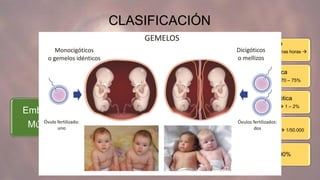 Gestacion multiple | PDF