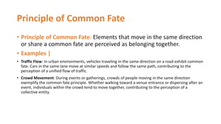 Gestalat Theory of Visual Perception_Mujeeb Riaz .pdf