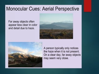 Monocular Cues Aerial Perspective