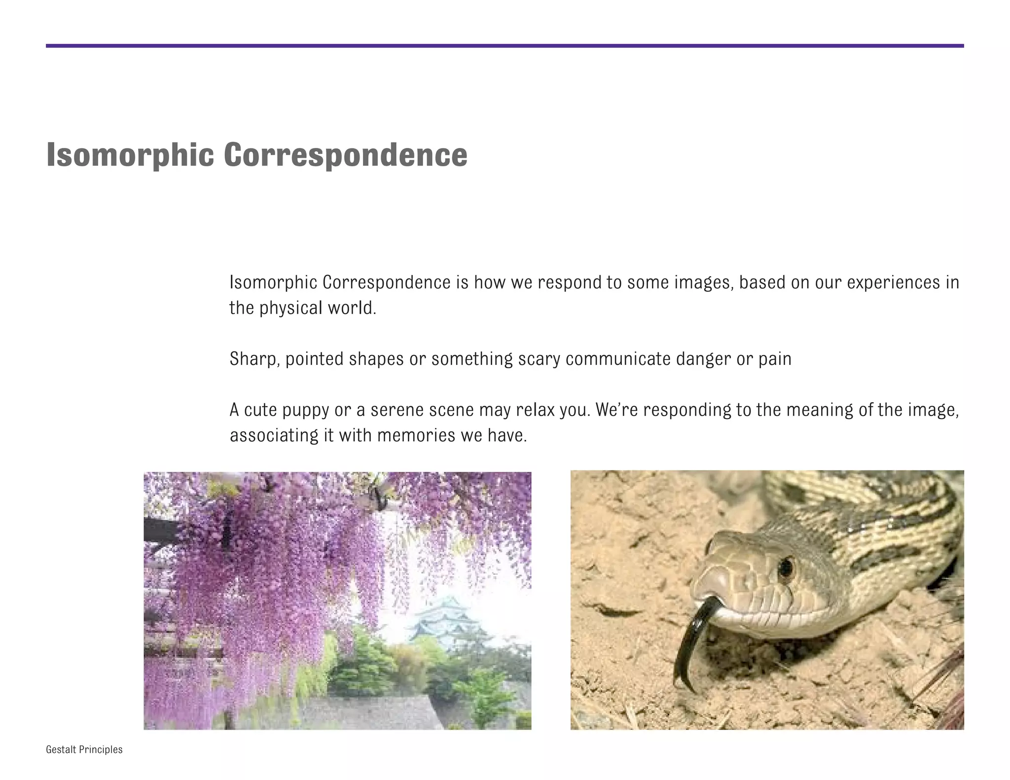 gestalt-principles-keli-dirisio.pdf