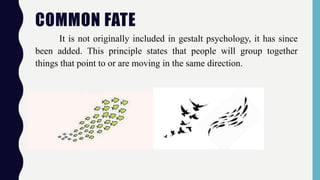 GESTALT-PSYCHOLOGY-.pptx