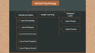 GESTALT-PSYCHOLOGY- INSIGHT LEARNINGREPORT.pptx