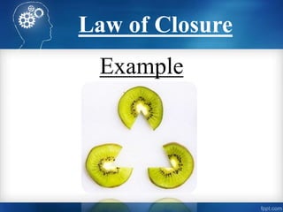 Gestalt law of organization | PPT