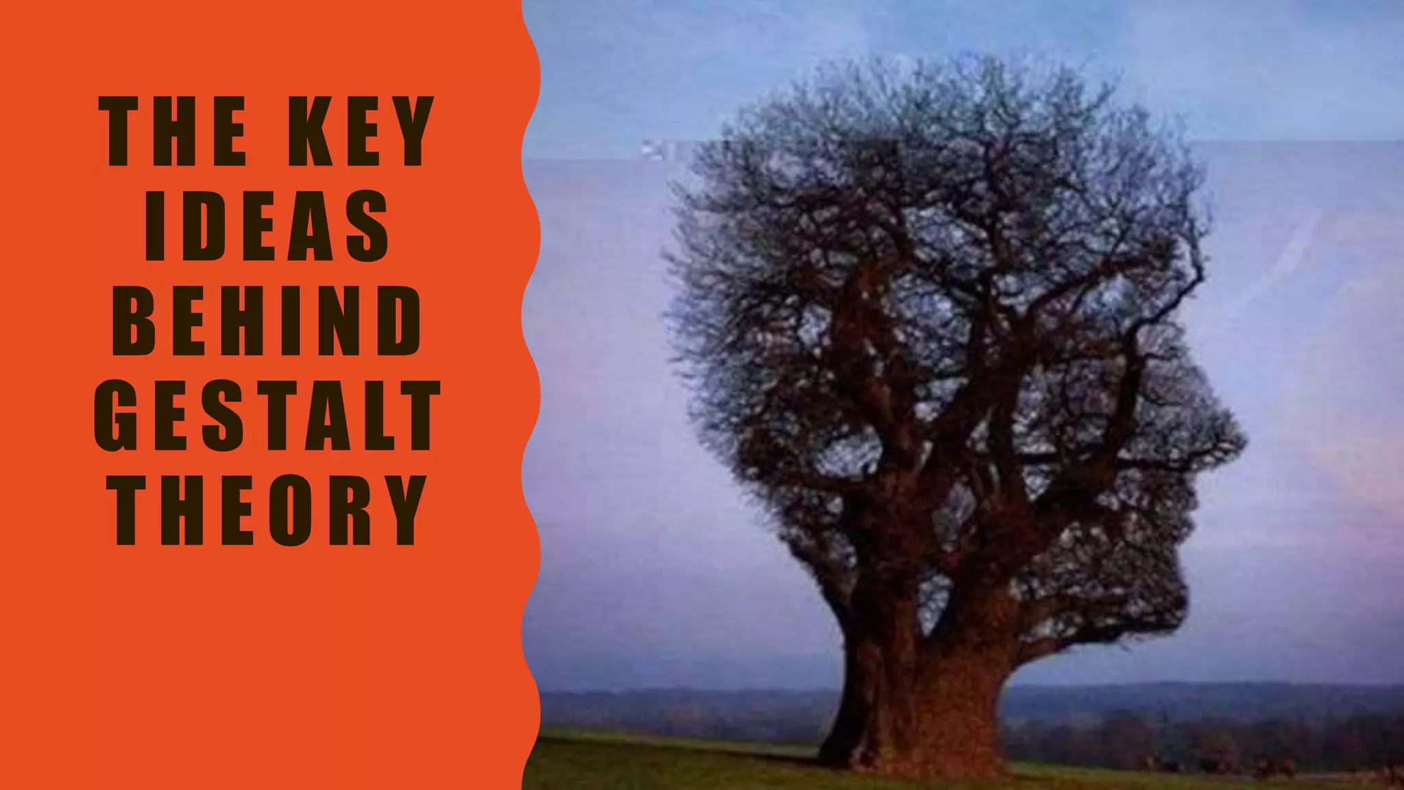 Gestalt principle | PPT