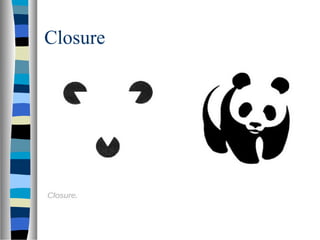 Visual Perception | PPT