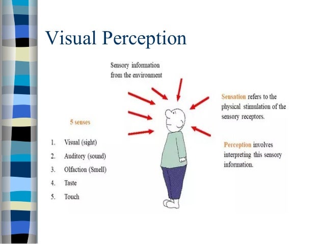 Visual Perception