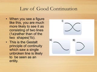 Gestalt psychology.pptx
