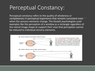 Gestalt Psychology.pptx