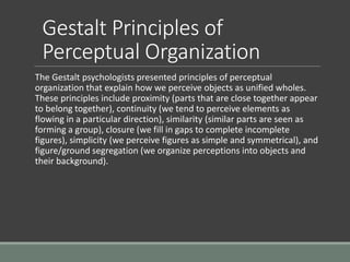 Gestalt Psychology.pptx