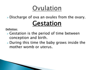 Gestation | PPTX