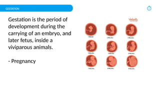 Gestation Life Sciences presentation.pptx