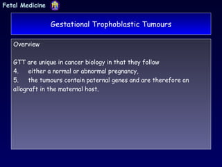 Gestational Trophoblastic Disease - www.jinekolojivegebelik.com