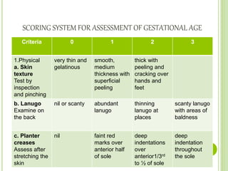 gestational age.pptx
