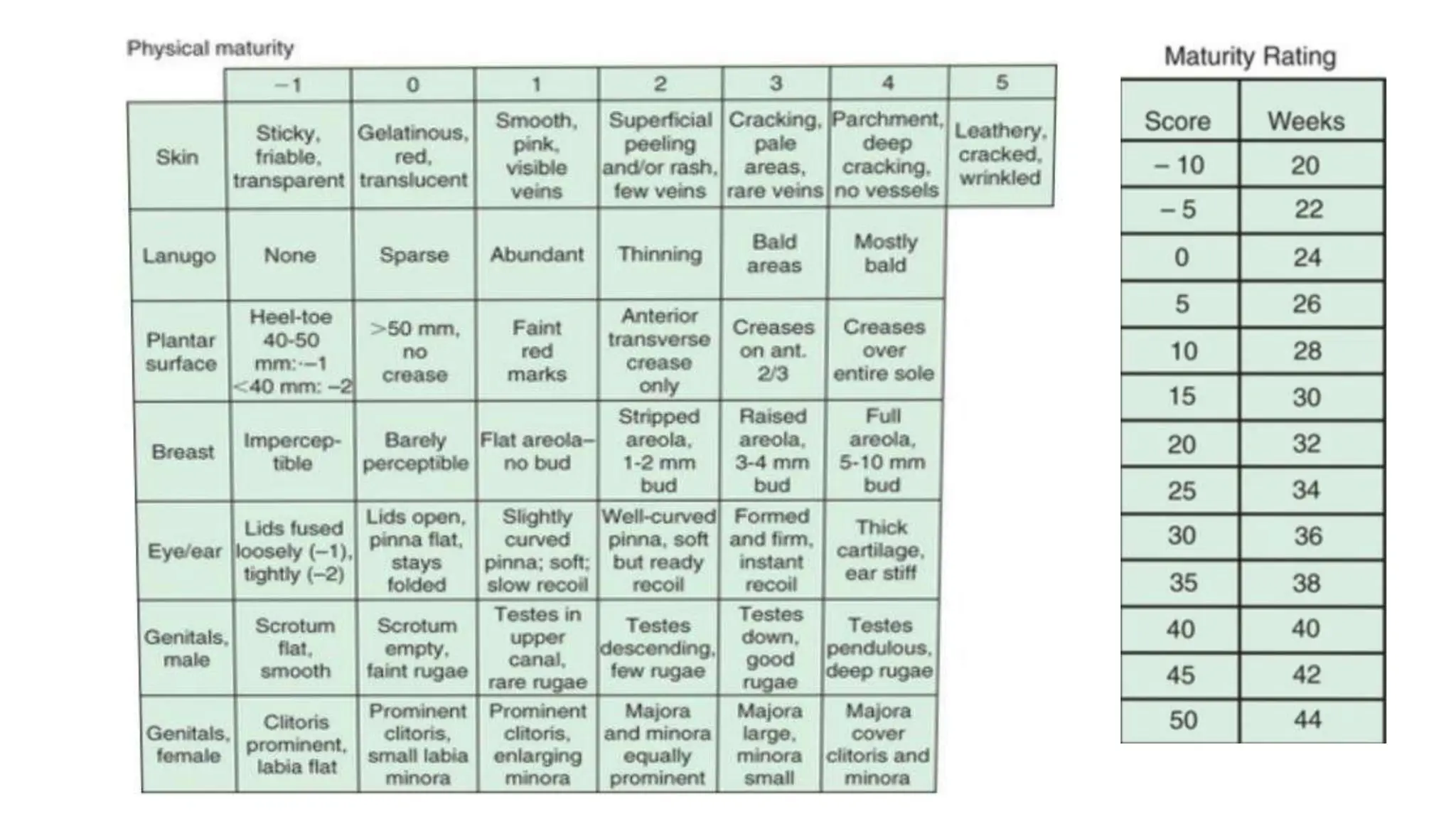 Gestational age estimation- pediatrics.pptx