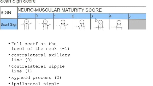 Gestational age estimation- pediatrics.pptx | Pregnancy | Reproductive ...