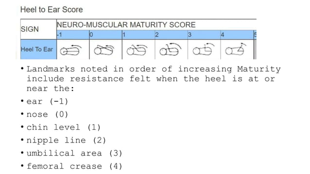 Gestational age estimation- pediatrics.pptx | Pregnancy | Reproductive ...