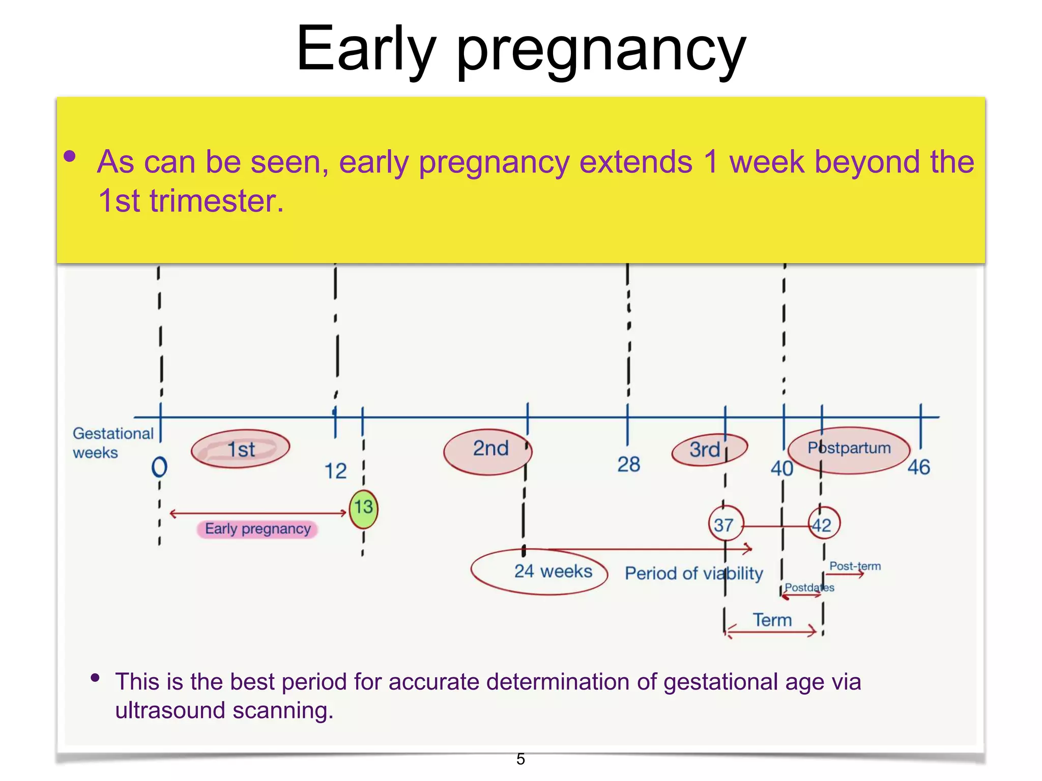 Gestational chart | PPTX