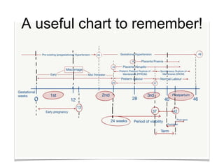Gestational chart | PPTX