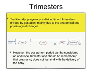 Gestational chart | PPT