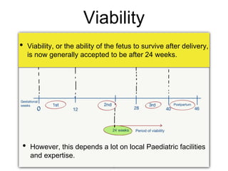 Gestational chart | PPT