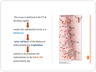 Gestational trophoblastic disease | PPTX